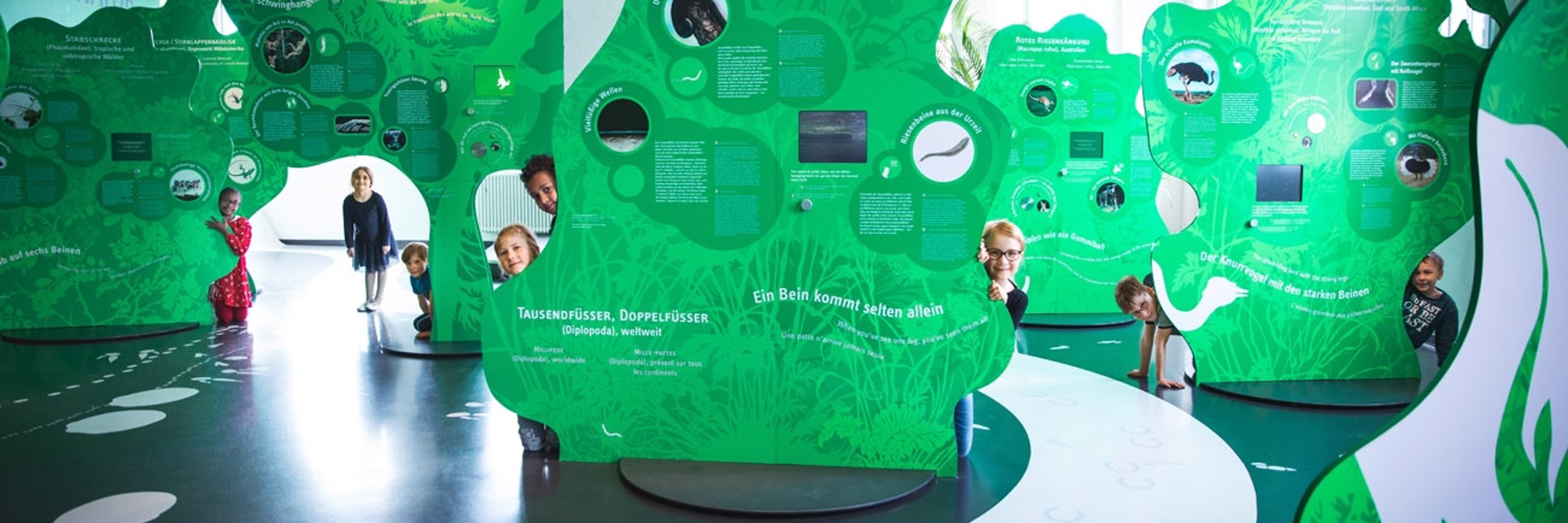 Dynamikum Science Center | Stadt Pirmasens